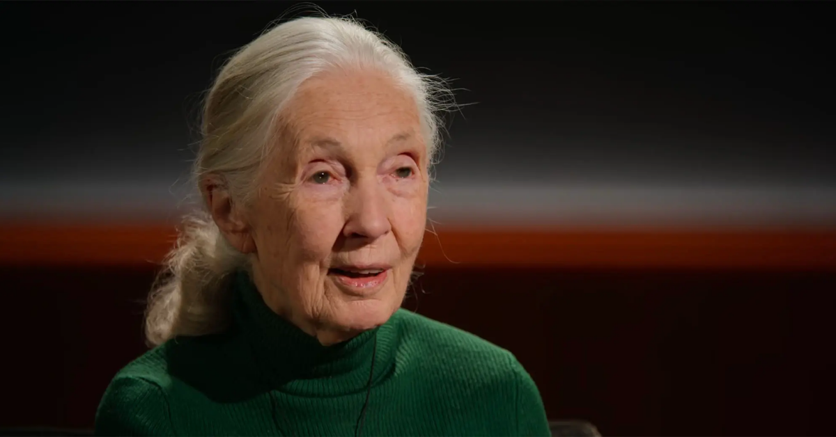 Jane Goodall’s Final Message Includes a Sharp Swipe at Trump and Elon ...